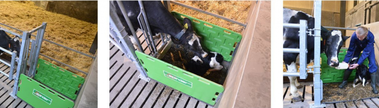 Cuddle box voor een optimale start | Spinder Dairy Housing Concepts